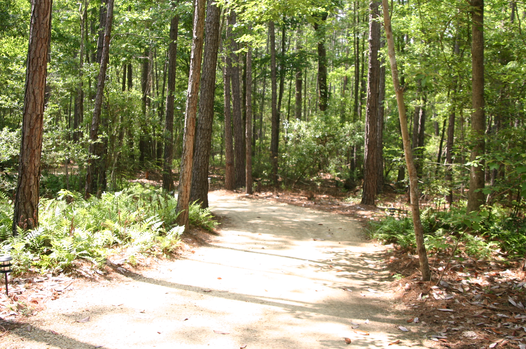 Wellness Wednesdays | Picayune Item