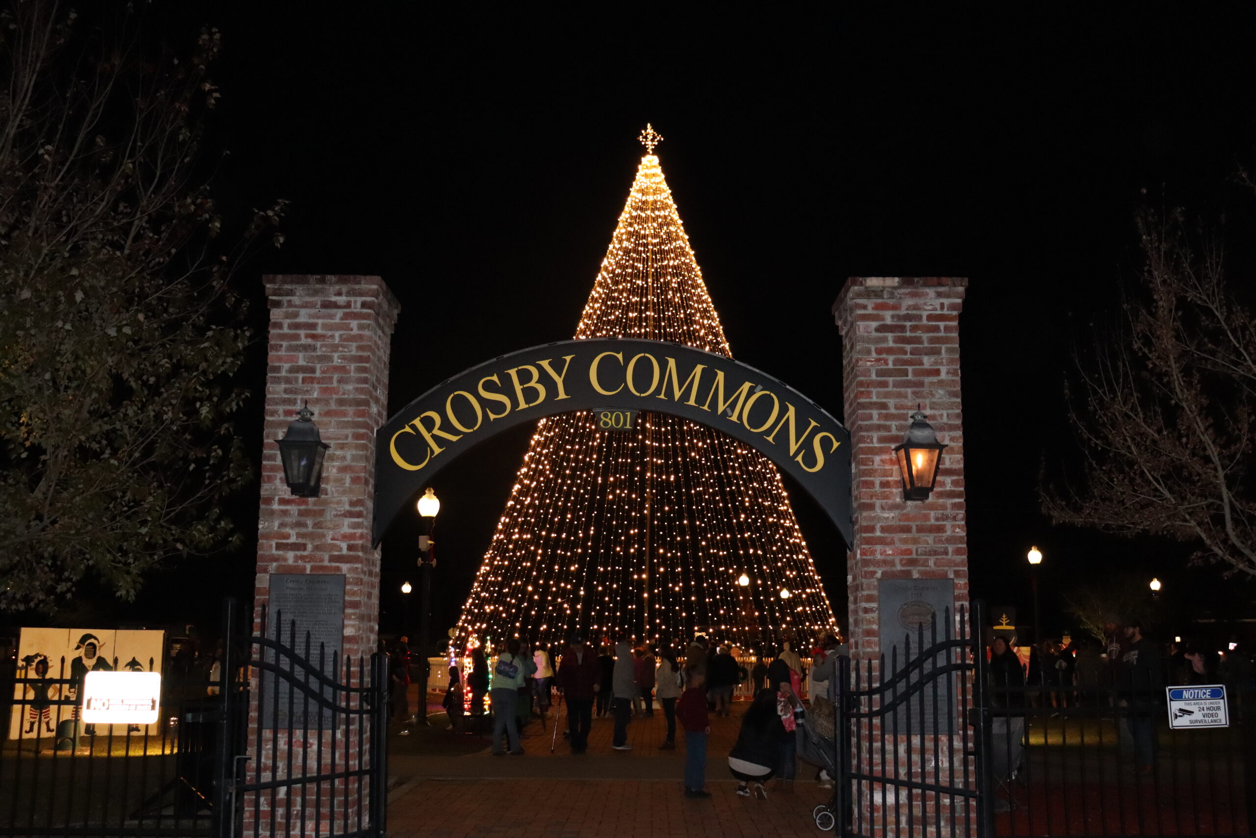 Picayune Shines Bright: Mayor and City Officials Spark Holiday Magic at ...