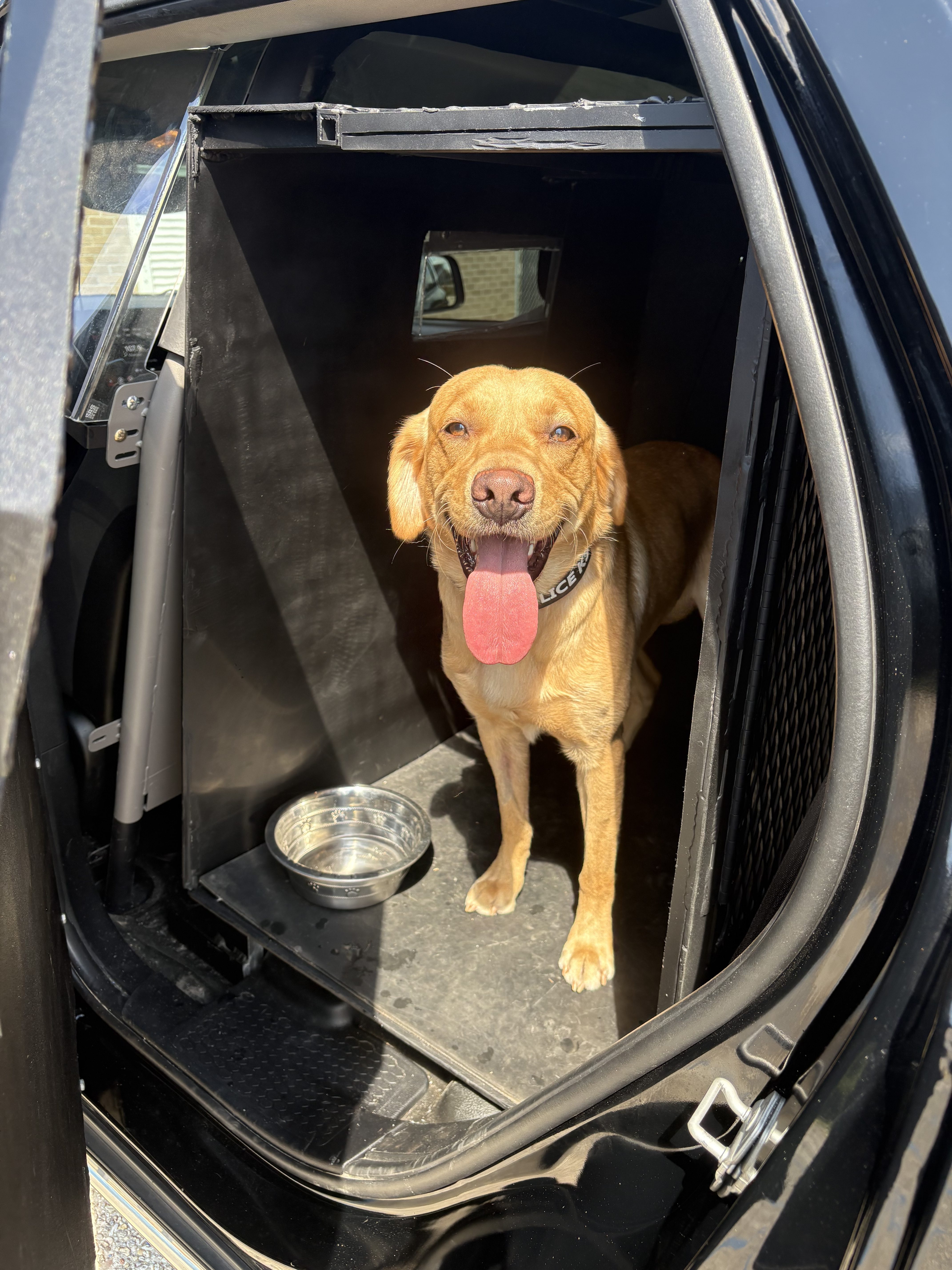 Picayune police welcome bomb-sniffing K9 to ranks | Picayune Item